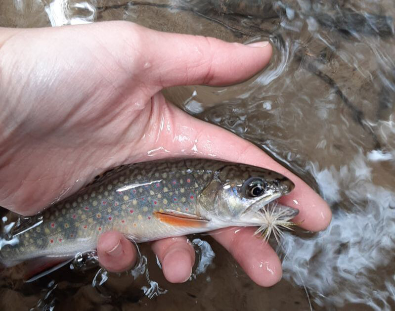 A look into the challenges and resilience of waterways through the ...